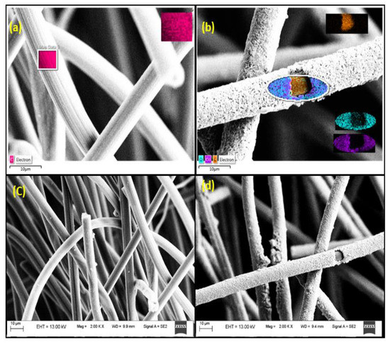 Electrodeposited Hybrid Biocathode-Based CO2 Reduction via Microbial ...