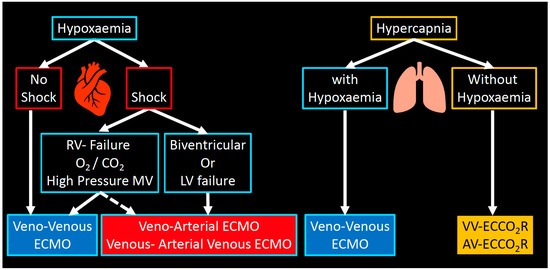 Membranes | Free Full-Text | Physiological Basis of Extracorporeal ...