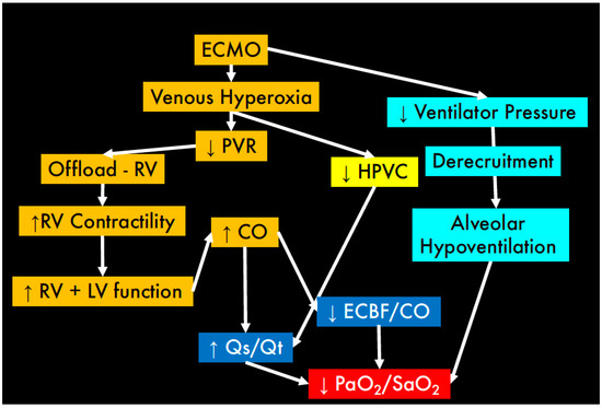 Physiological Basis of Extracorporeal Membrane Oxygenation and ...