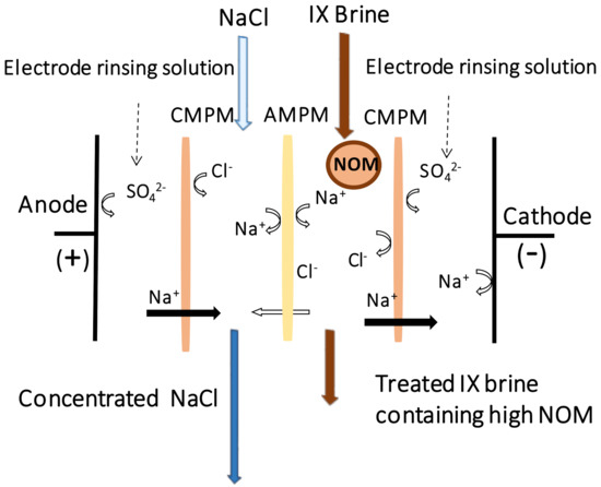 Towards Water, Sodium Chloride and Natural Organic Matter Recovery from ...