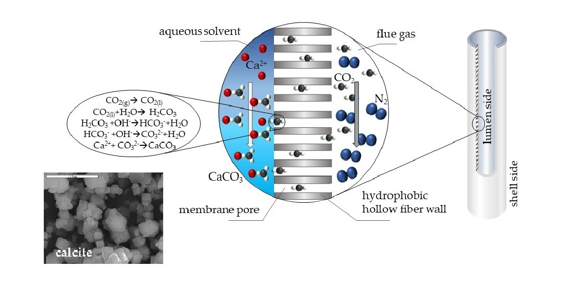 Membranes | Free Full-Text | Innovative Gas-Liquid Membrane Contactor ...