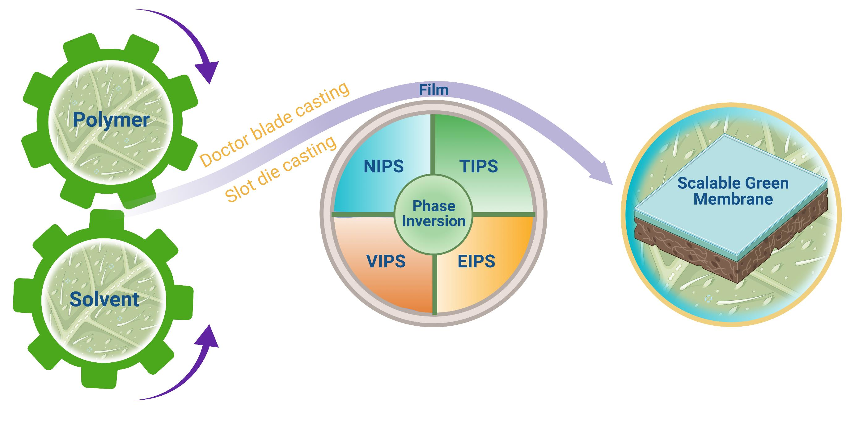 Membranes | Free Full-Text | Polymers and Solvents Used in Membrane ...
