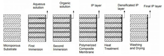 Polymers and Solvents Used in Membrane Fabrication: A Review Focusing ...
