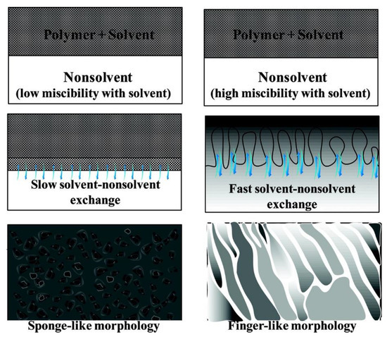 Polymers and Solvents Used in Membrane Fabrication: A Review Focusing ...
