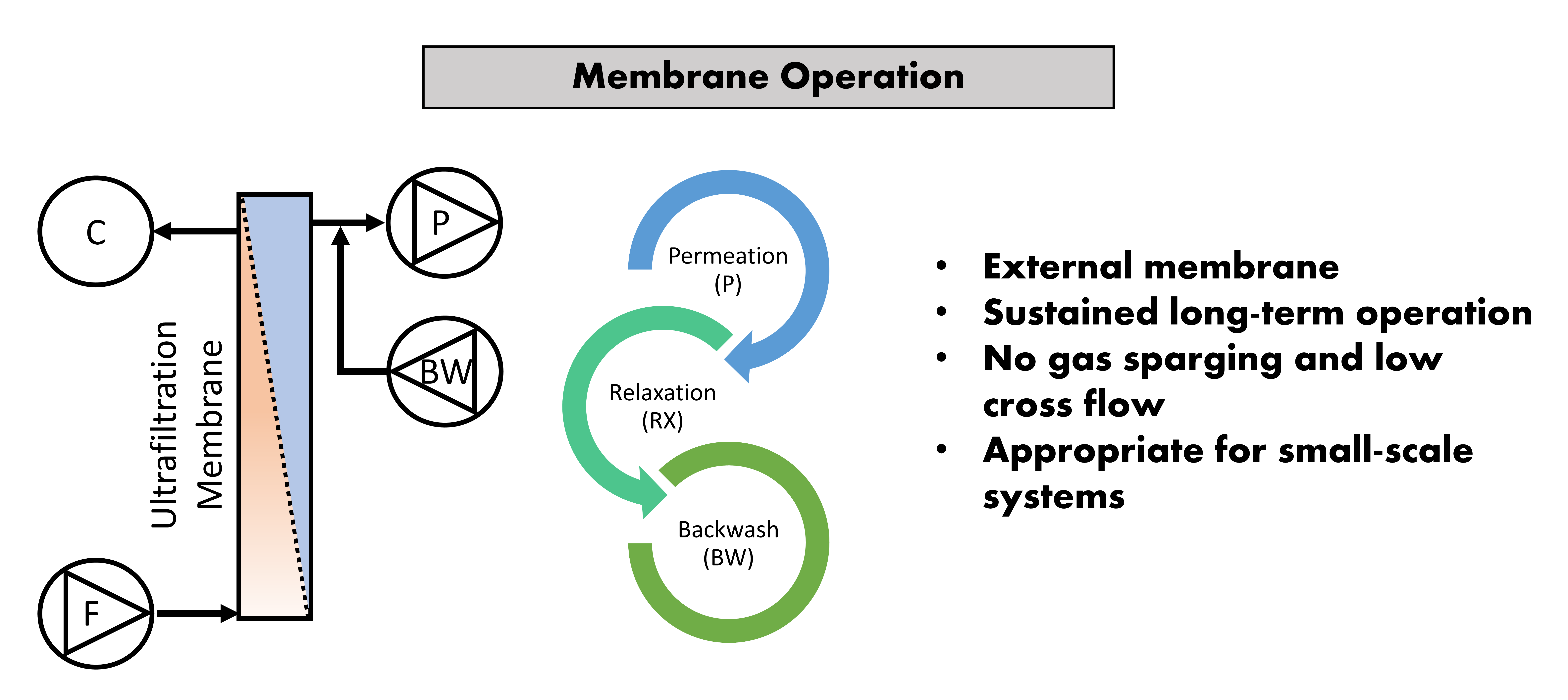 Membranes | Free Full-Text | Assessment of an Anaerobic Membrane ...