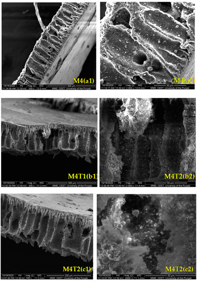 TiO2 Nanoparticle Filler-Based Mixed-Matrix PES/CA Nanofiltration ...