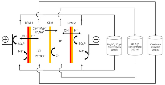 Membranes | Free Full-Text | Fouling Mitigation by Optimizing Flow Rate ...