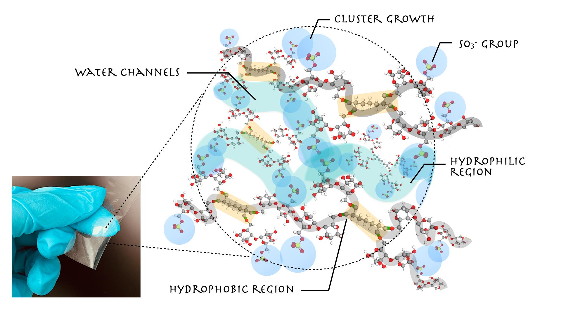 Membranes | Free Full-Text | Proton Conductive, Low Methanol Crossover ...