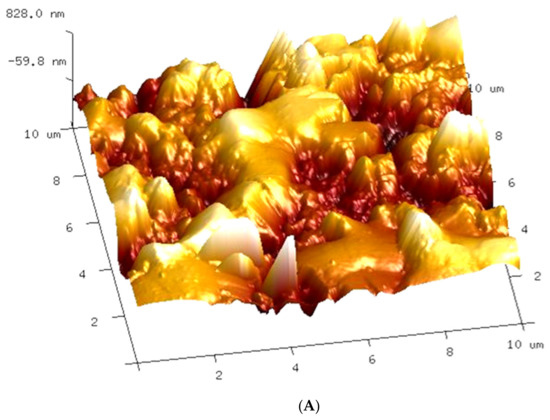Membranes | Free Full-Text | Resistance of Polypropylene Membrane to ...