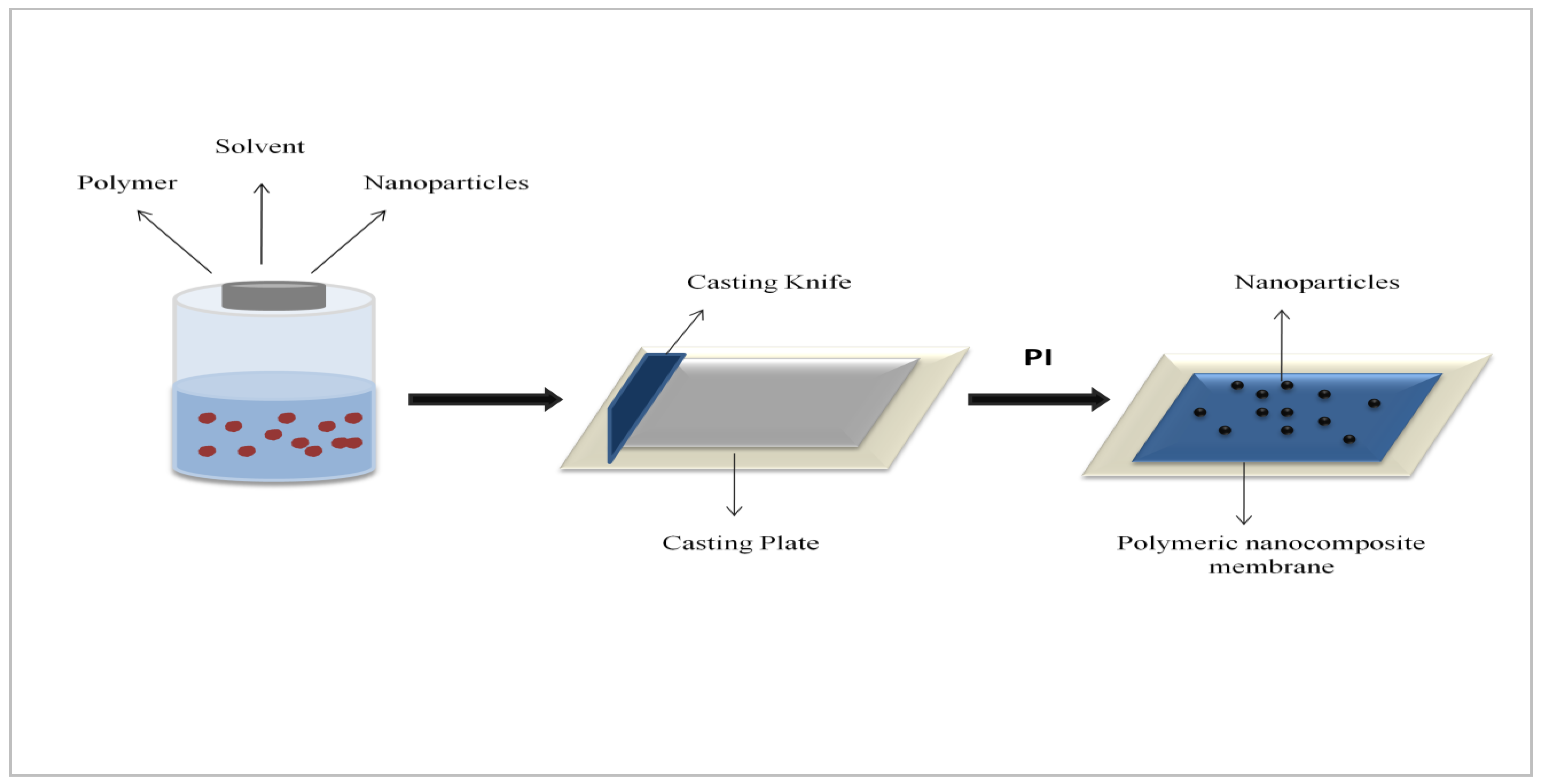 Schematic Illustration Of The Porous Membrane Fabrica - vrogue.co Schematic Illustration Of The Porous Membrane Fabrica - vrogue.co