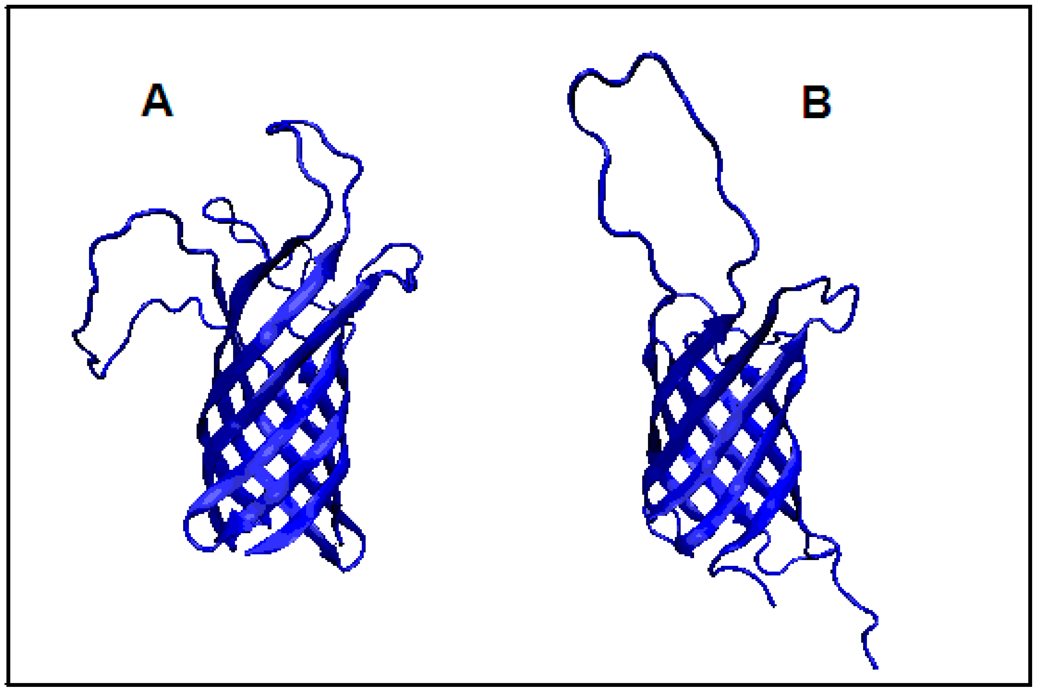 The Functional Significance of Hydrophobic Residue Distribution in ...