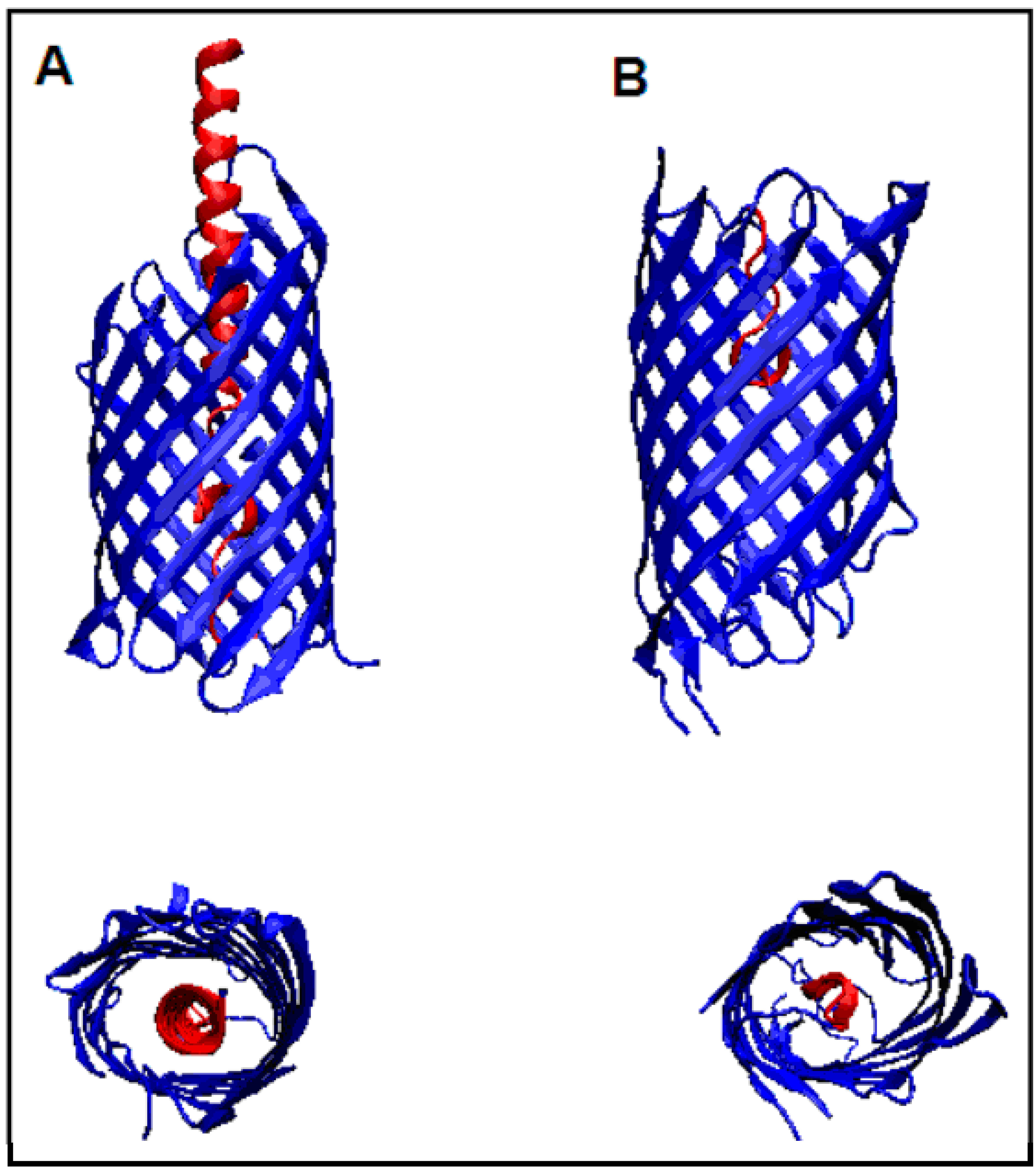 The Functional Significance of Hydrophobic Residue Distribution in ...