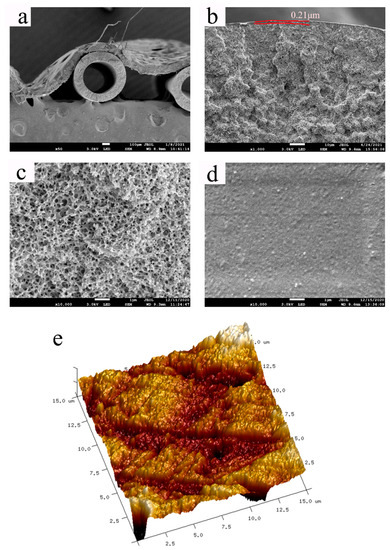 Membranes | Special Issue : Hollow Fiber Membranes and Their Applications