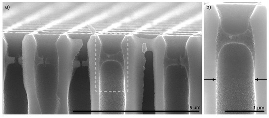 Wetting-Induced Polyelectrolyte Pore Bridging