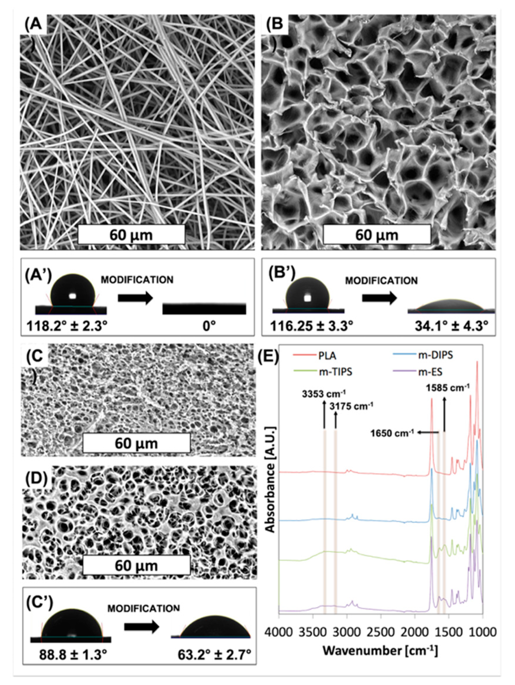 Engineered Membranes for Residual Cell Trapping on Microfluidic Blood ...