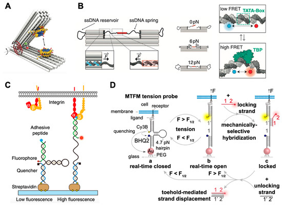 Obtaining Precise Molecular Information via DNA Nanotechnology
