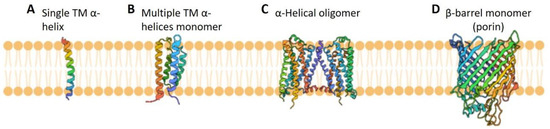 Lipid Membrane Mimetics in Functional and Structural Studies of ...