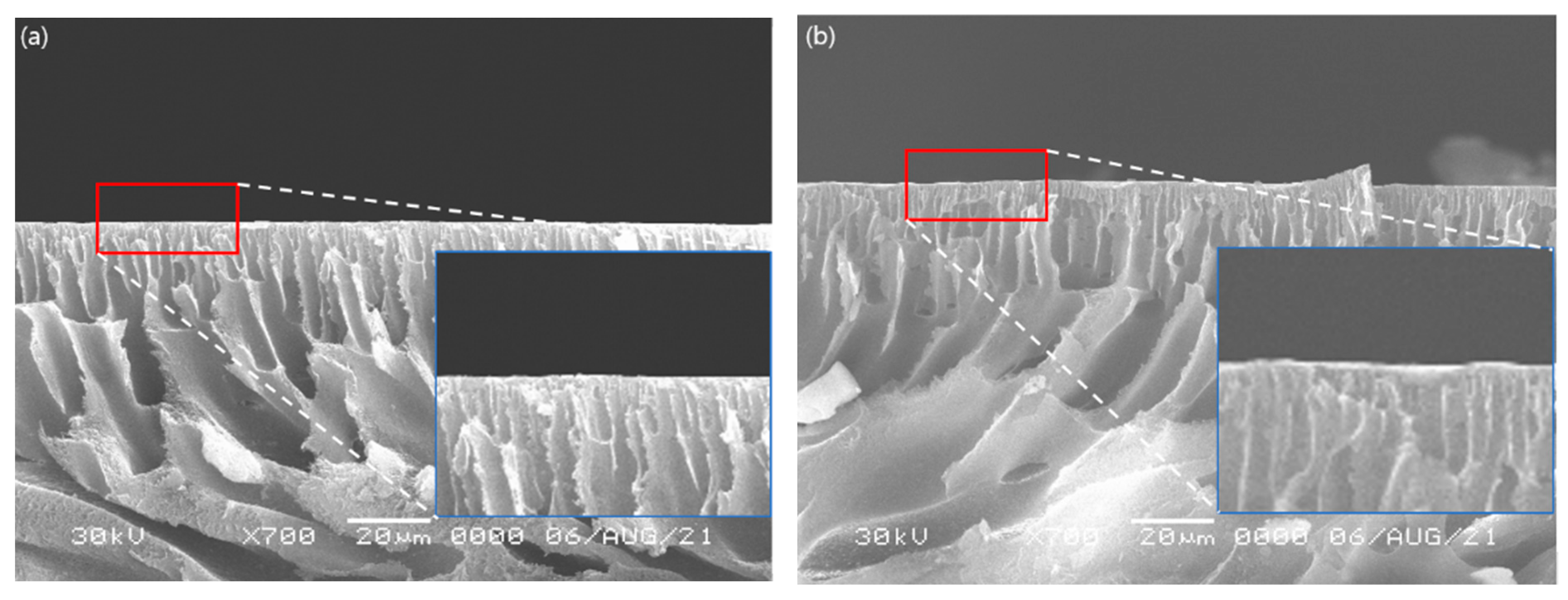 Membranes | Free Full-Text | CO2/N2 Gas Separation Using Pebax/ZIF-7—PSf Composite Membranes