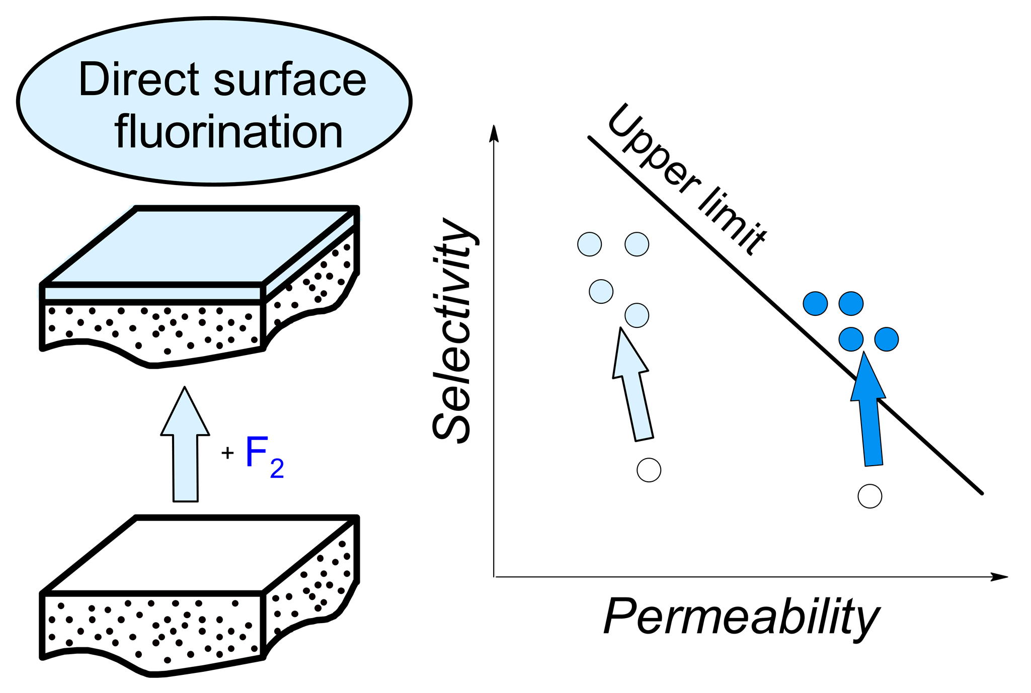 Membranes | Free Full-Text | Effect of Direct Fluorination on the ...