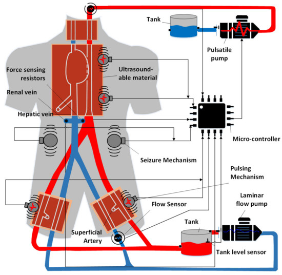 A Review of Human Circulatory System Simulation: Bridging the Gap ...