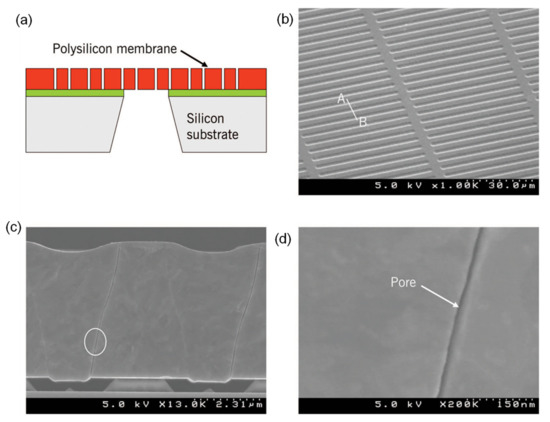 A Review of Commercial Developments and Recent Laboratory Research of ...