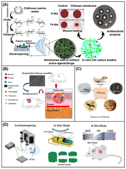 Membranes | Free Full-Text | Electrospun Medicated Nanofibers for Wound Healing: Review