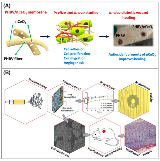 Membranes | Free Full-Text | Electrospun Medicated Nanofibers for Wound Healing: Review