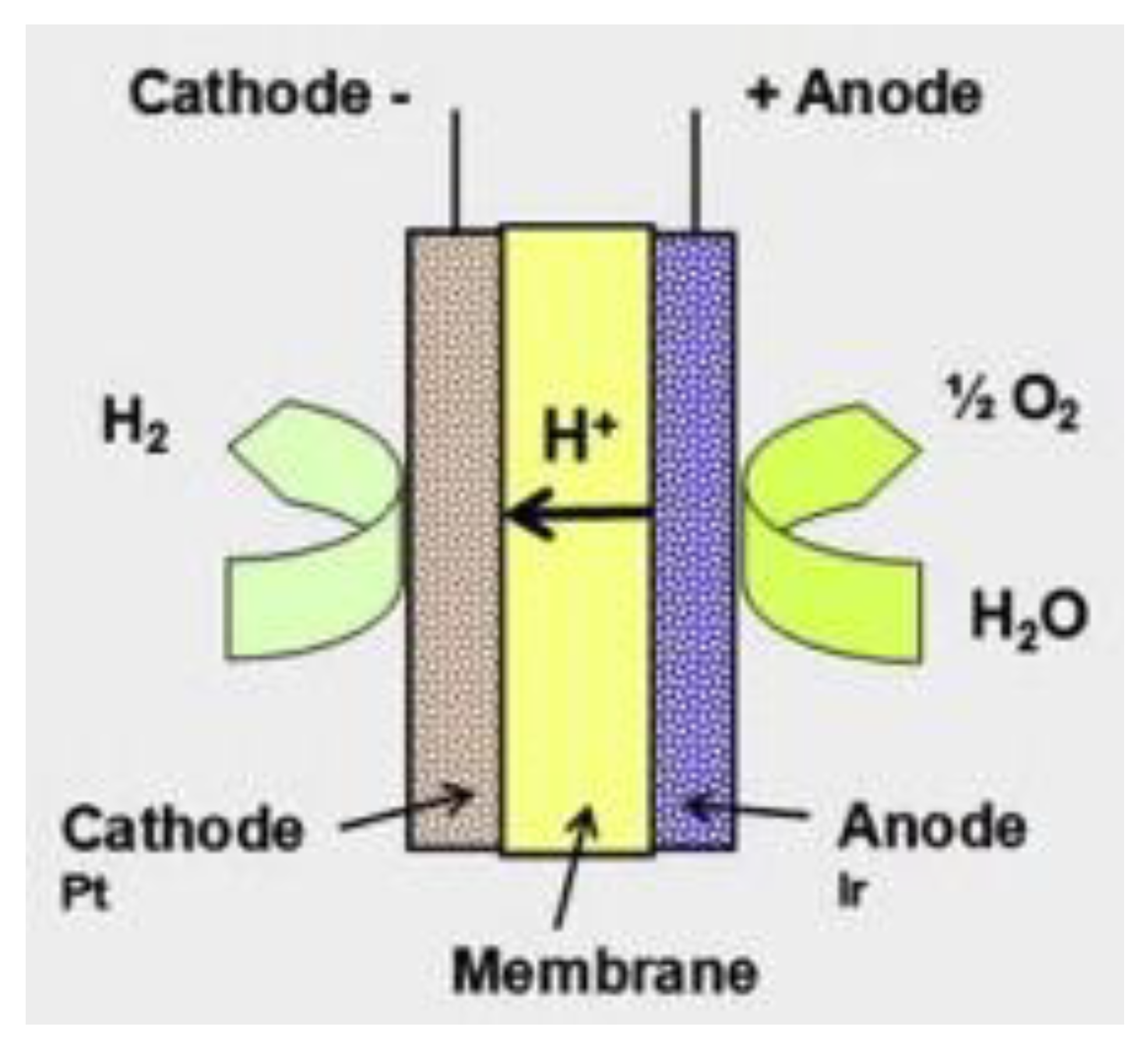 Membrane-Based Electrolysis for Hydrogen Production: A Review