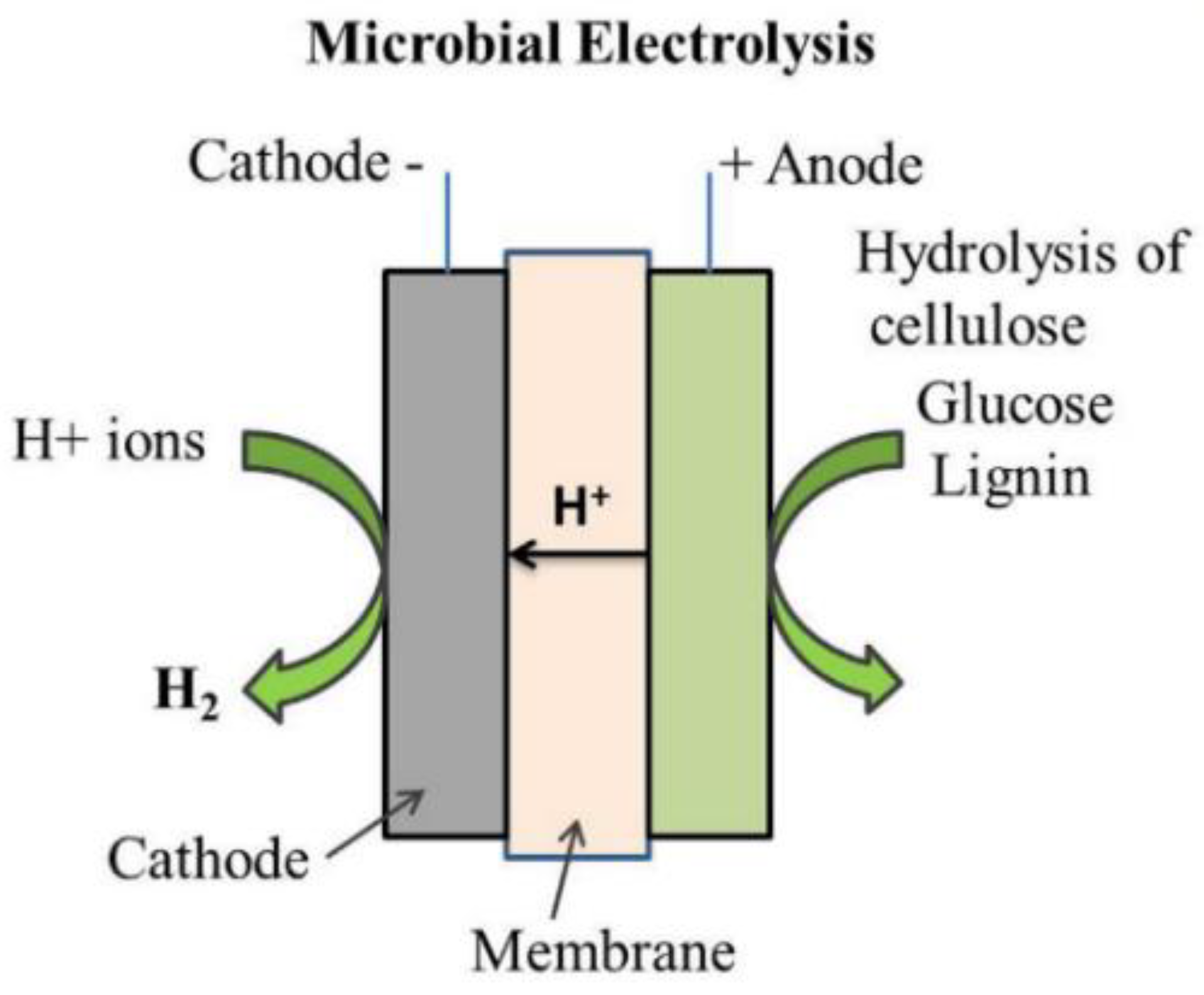 Membrane-Based Electrolysis for Hydrogen Production: A Review