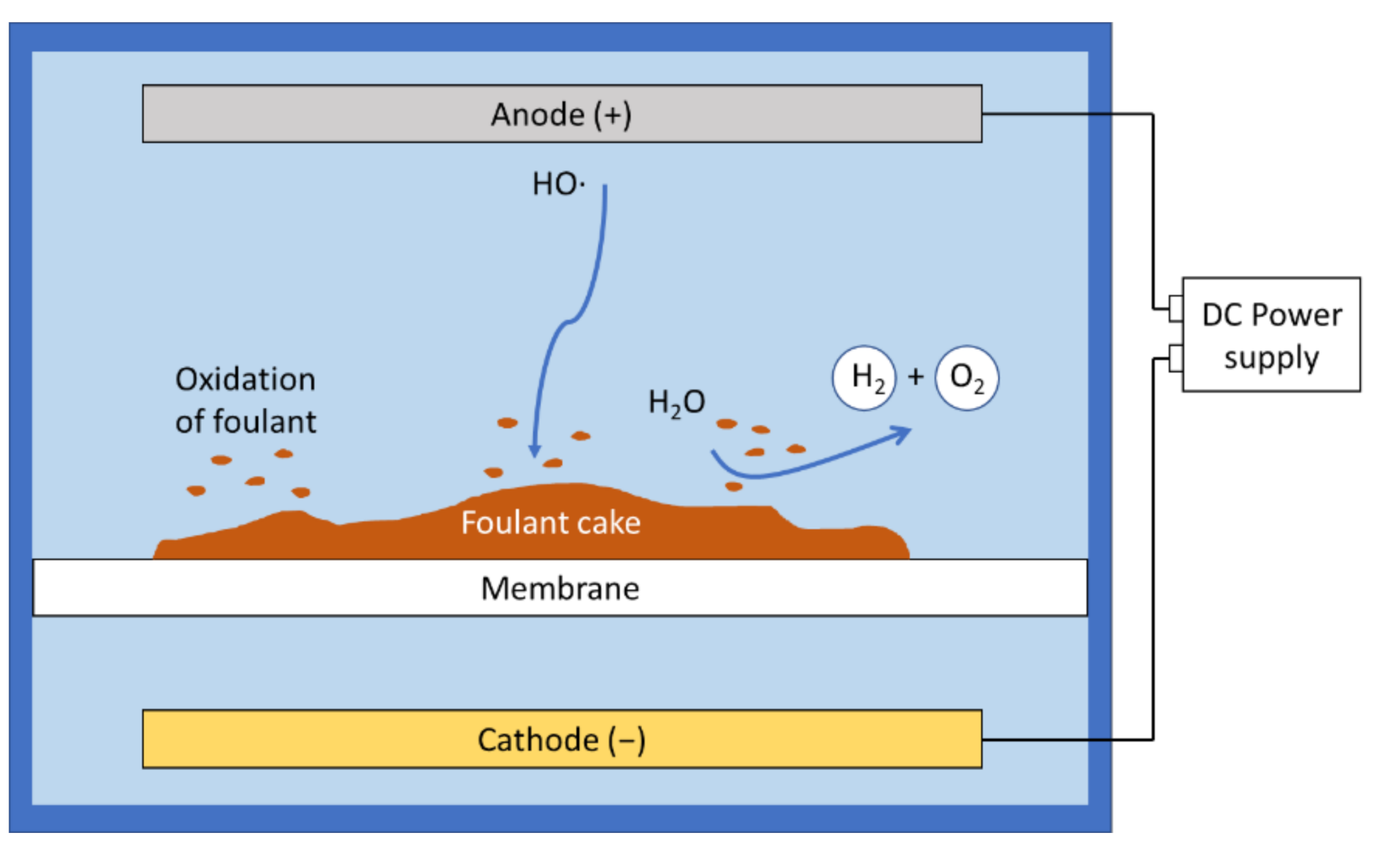 Membranes | Free Full-Text | A Critical Review on Electric Field ...