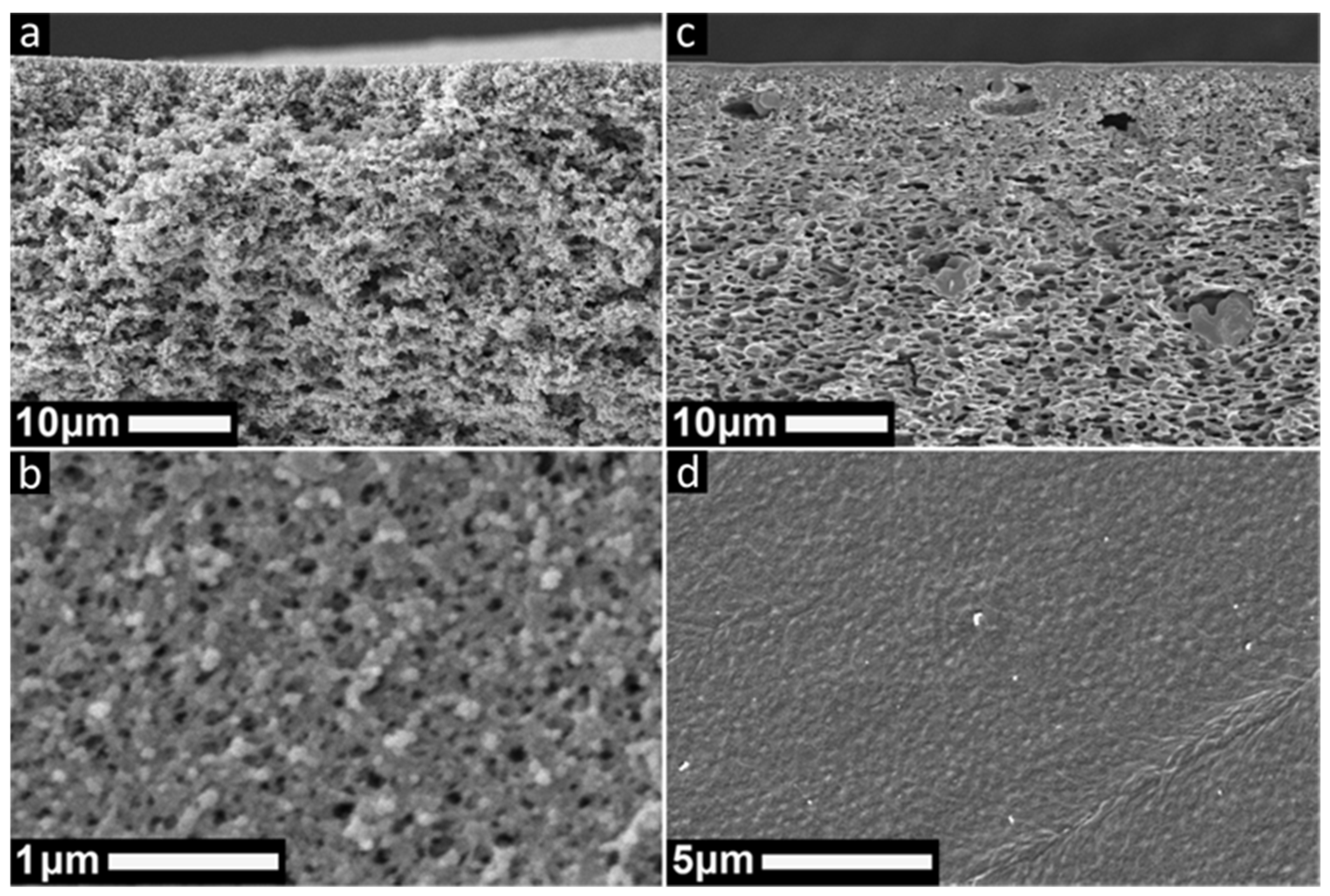 Solvent and pH Stability of Poly(styrene-alt-maleic acid) (PSaMA ...