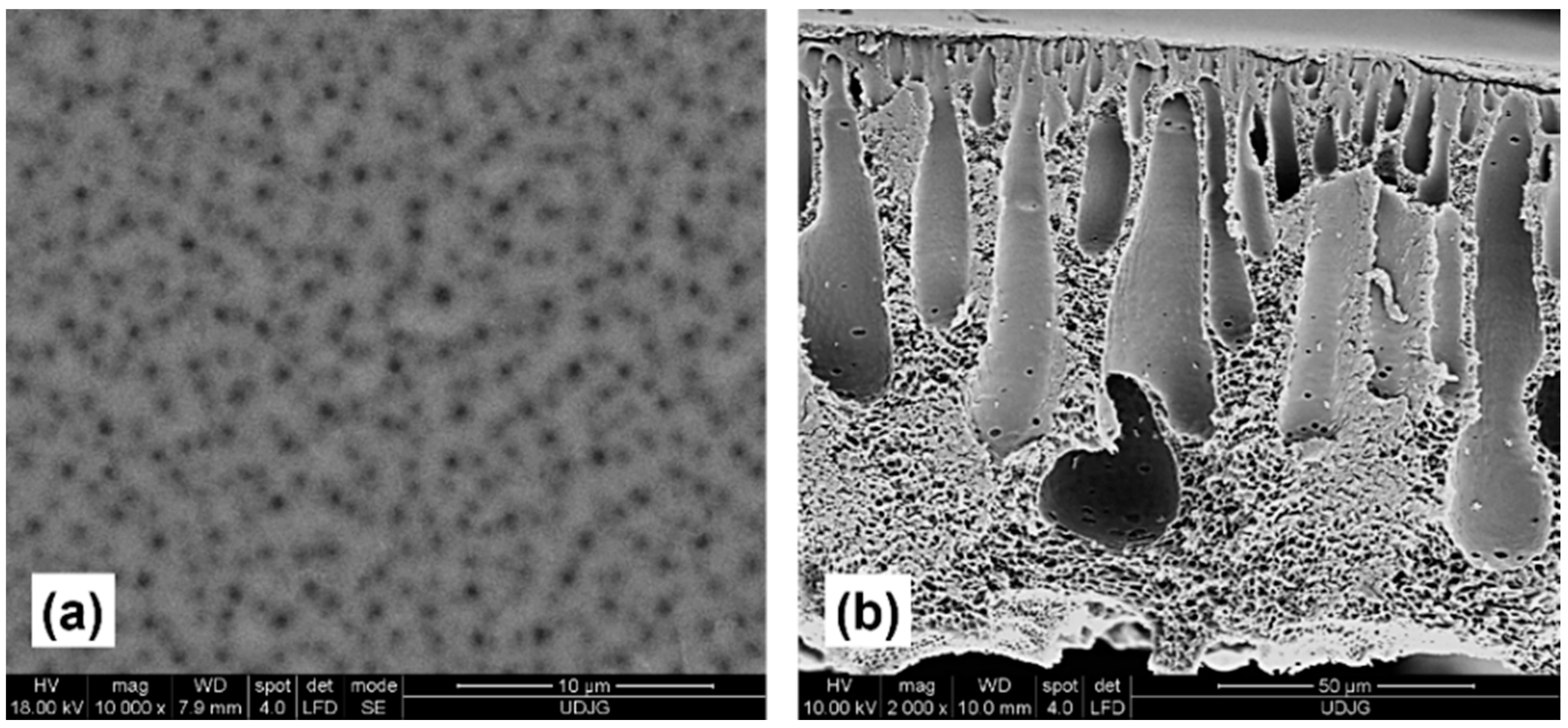 New Understanding of the Difference in Filtration Performance between ...