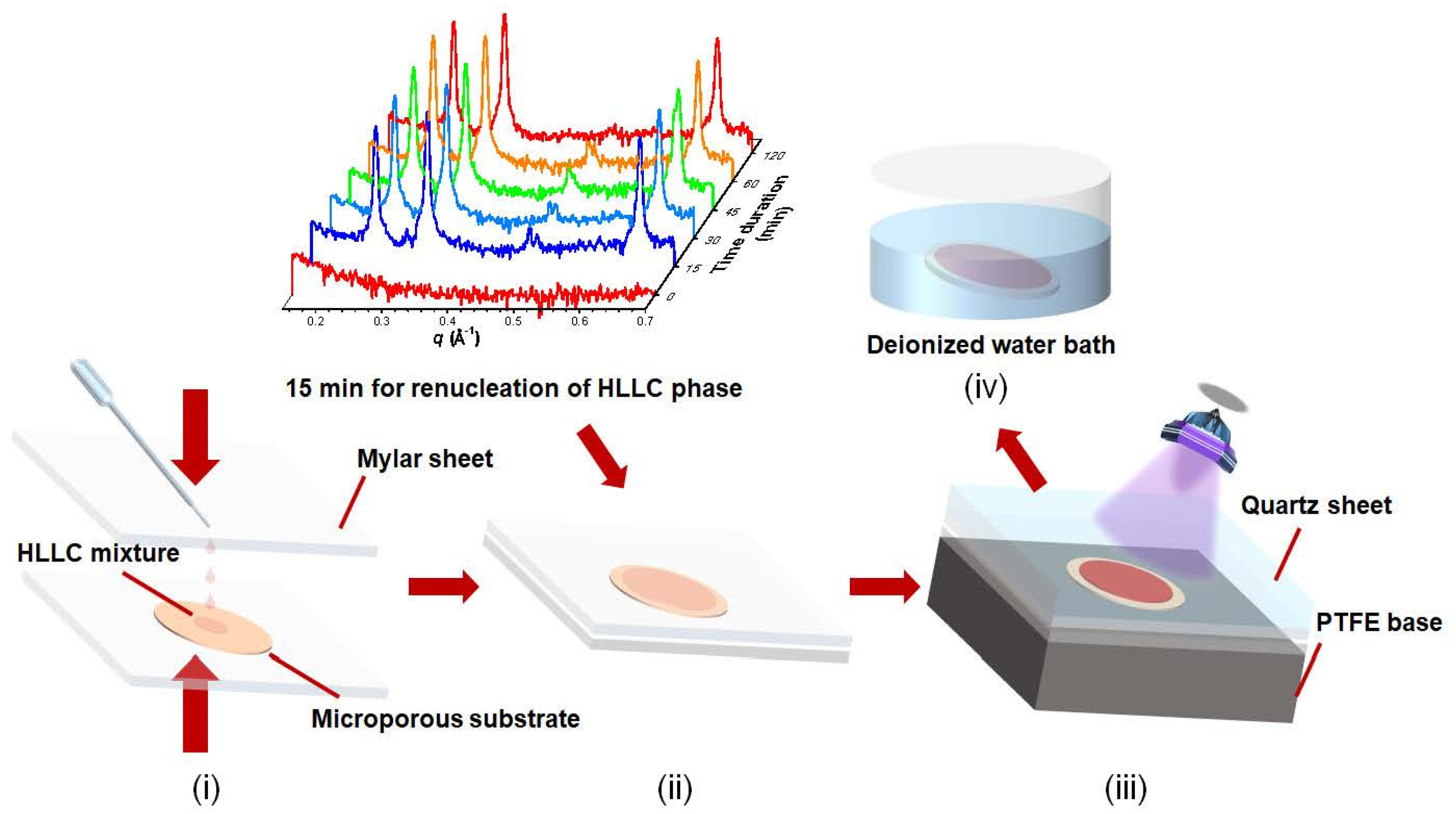 Towards a High-Flux Separation Layer from Hexagonal Lyotropic Liquid ...