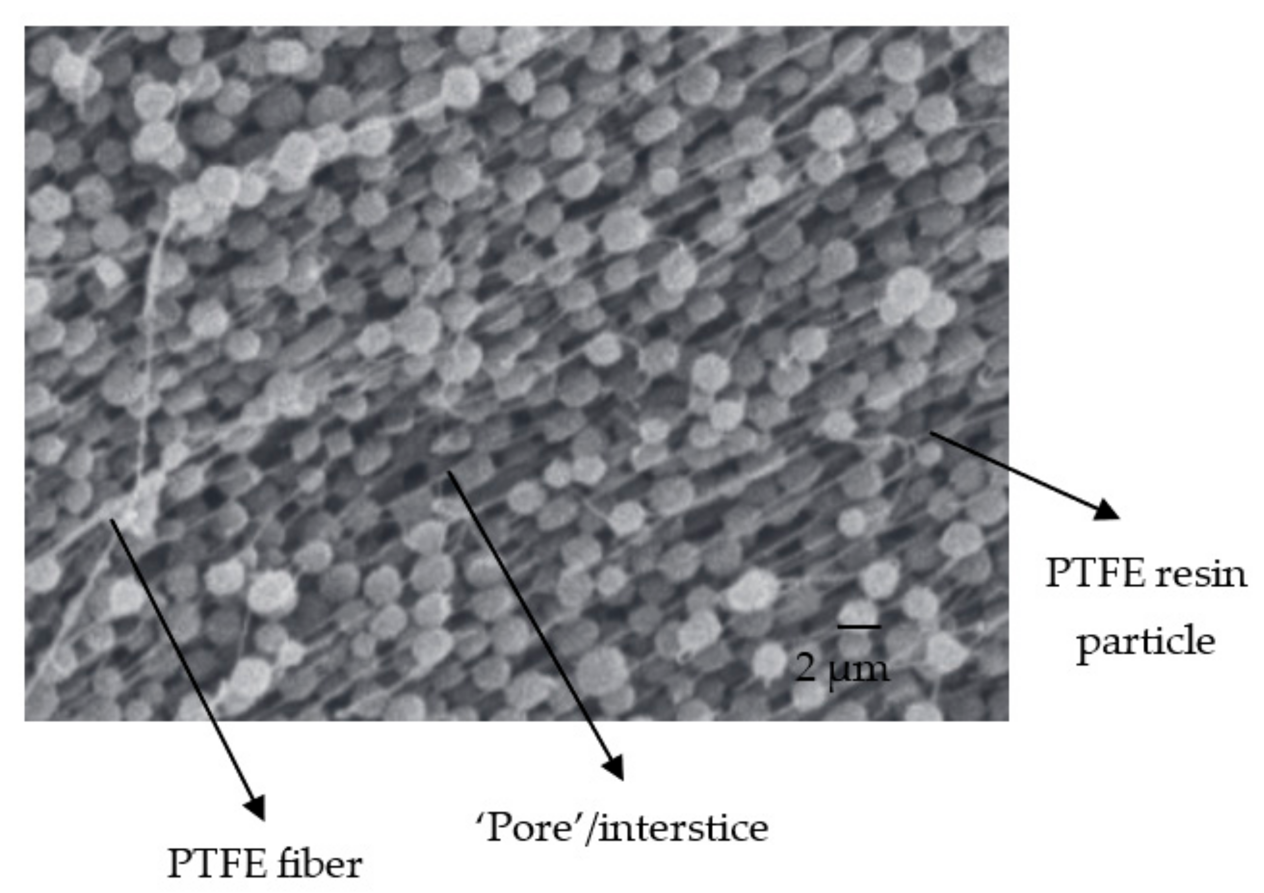 Synthesis and Evaluation of Asymmetric Mesoporous PTFE/Clay Composite ...