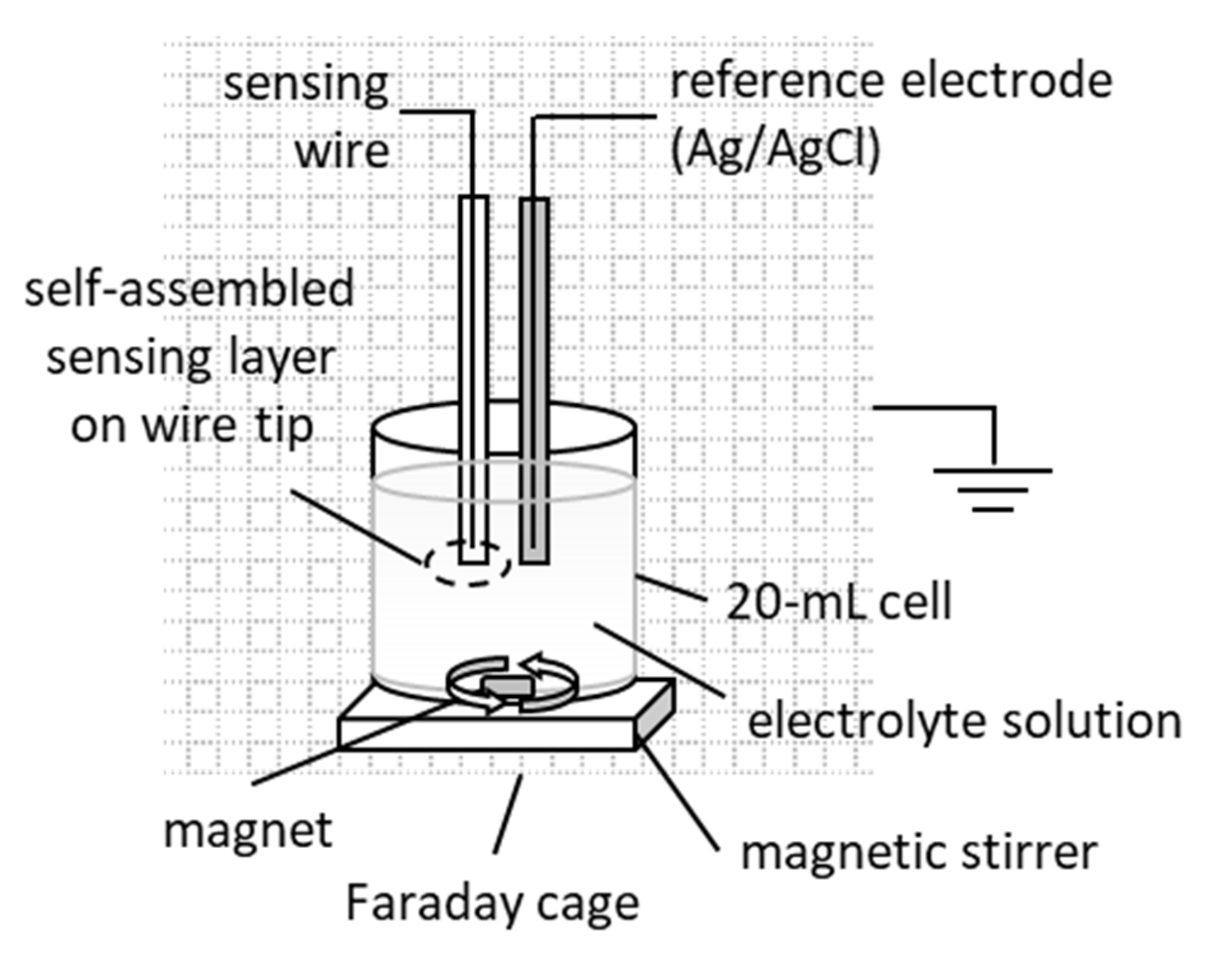 A Ready-to-Use Metal-Supported Bilayer Lipid Membrane Biosensor for the ...