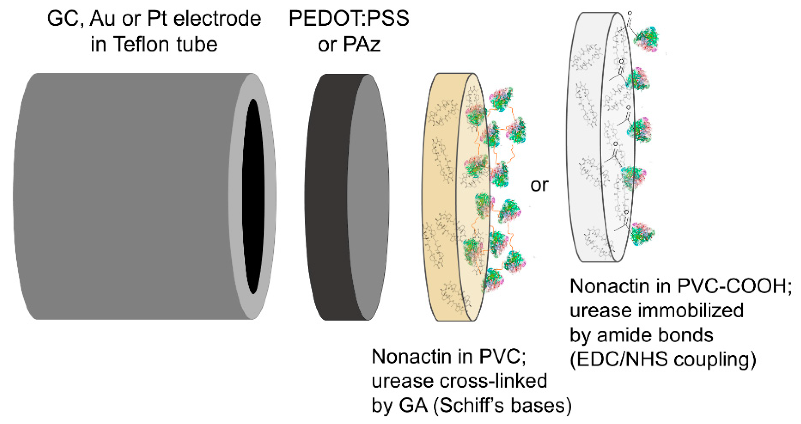 Highly Stable Potentiometric (Bio)Sensor for Urea and Urease Activity ...