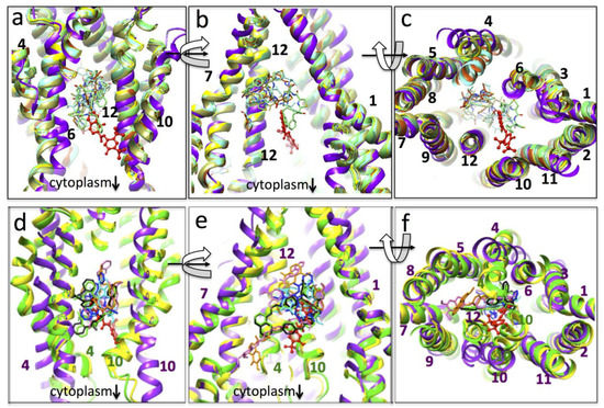 Structure of ABCB1/P-Glycoprotein in the Presence of the CFTR ...