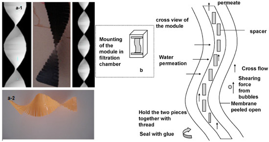 A Review on the Use of Membrane Technology Systems in Developing Countries