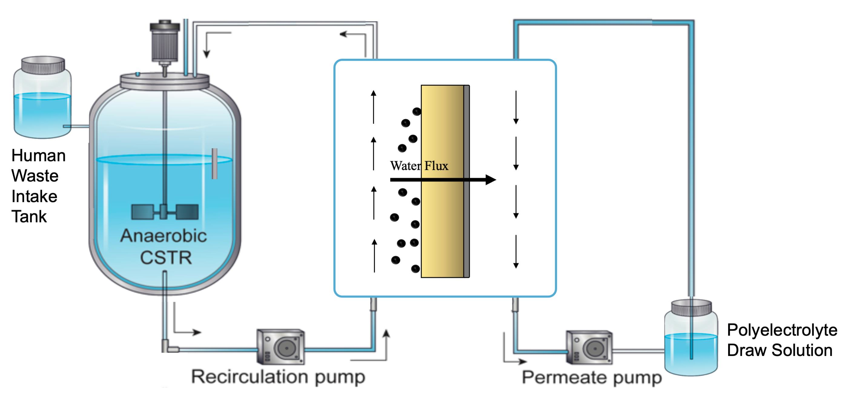 Membranes | Free Full-Text | Water Recovery from Bioreactor Mixed ...