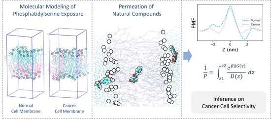 Membranes | Free Full-Text | Phosphatidylserine Exposed Lipid Bilayer Models for Understanding ...