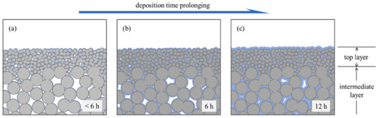 Recent Advances of Polymeric Membranes in Tackling Plasticization and ...