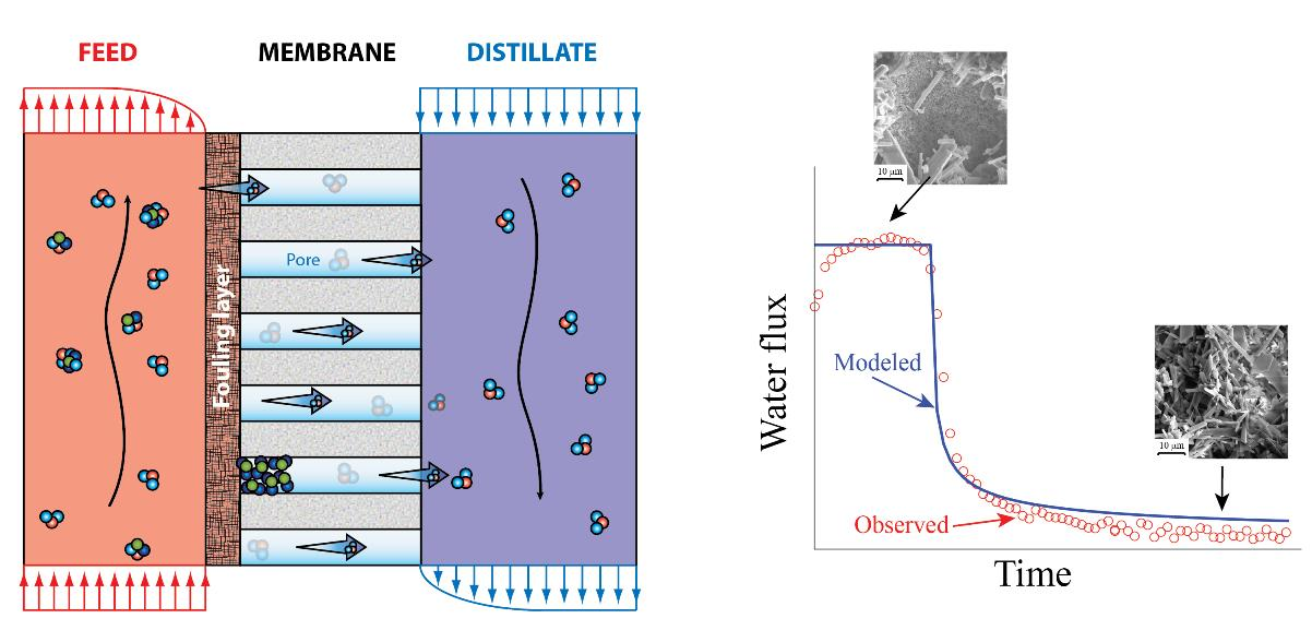 Membranes | Free Full-Text | Water Flux Prediction in Direct Contact ...