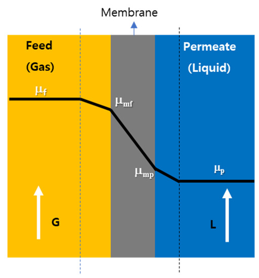 Simulation Model for Prediction of Gas Separation in Membrane Contactor ...