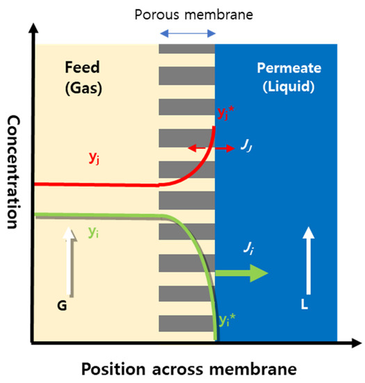 Simulation Model for Prediction of Gas Separation in Membrane Contactor ...