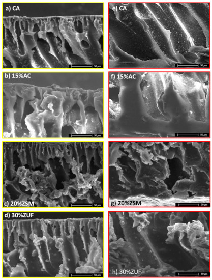 Mixed Matrix Membranes Adsorbers (MMMAs) for the Removal of Uremic ...
