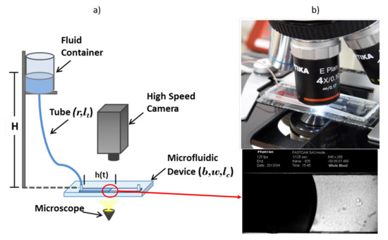 Microfluidics Approach to the Mechanical Properties of Red Blood Cell ...