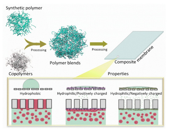 Recent Advancements in Polyphenylsulfone Membrane Modification Methods ...