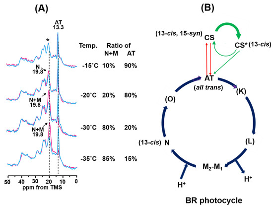 Photoreaction Pathways of Bacteriorhodopsin and Its D96N Mutant as ...