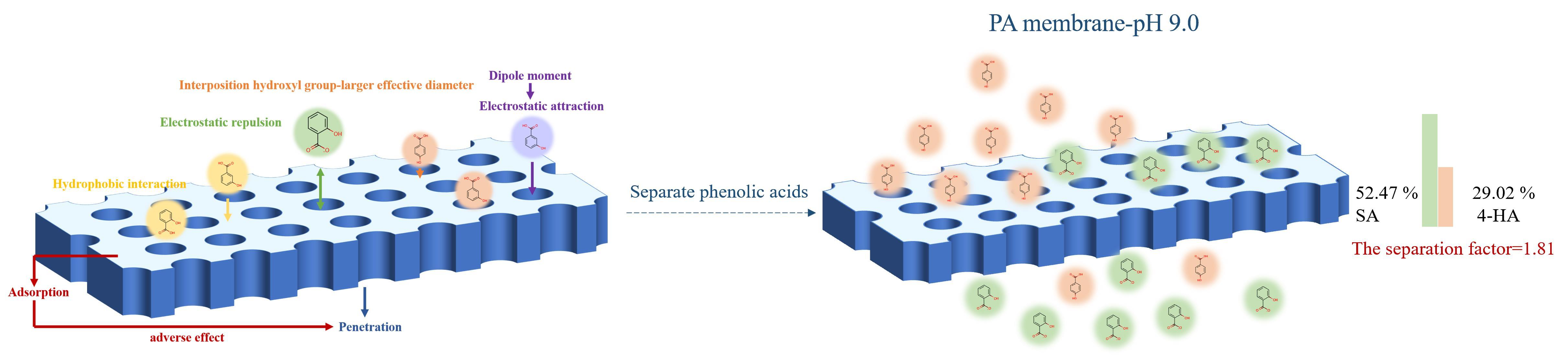 Membranes | Free Full-Text | A Study of the Mechanism and Separation of ...