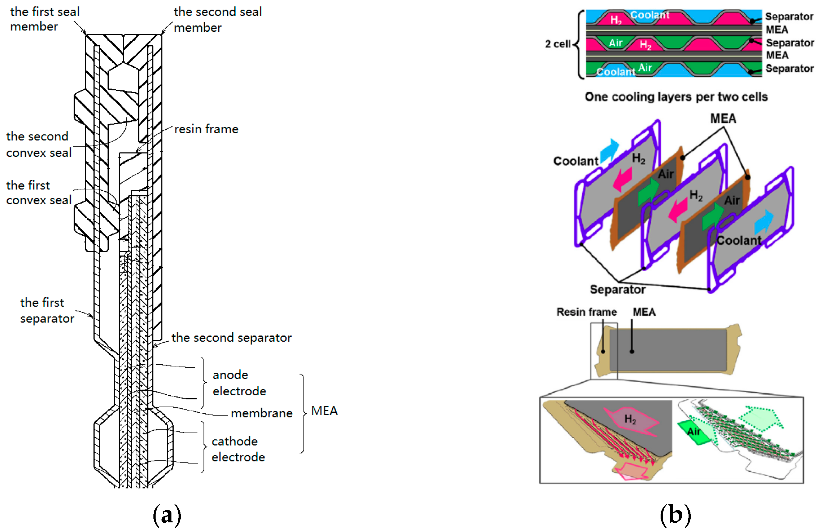 A Review of the Transition Region of Membrane Electrode Assembly of ...